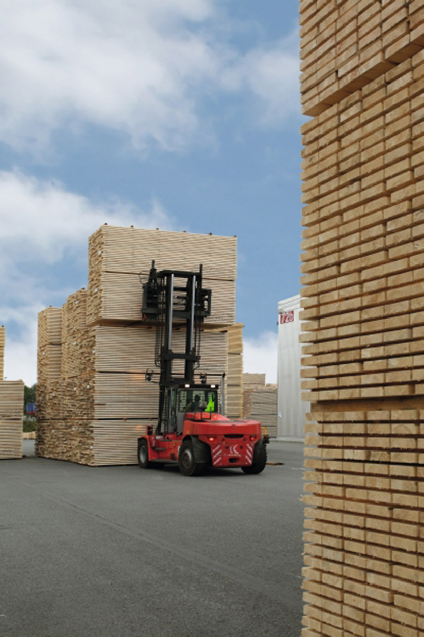 Gallery of Timber - 11