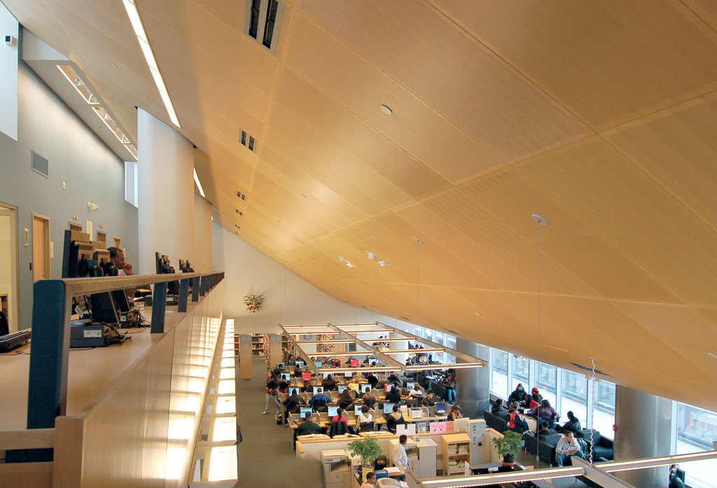 Ceilings Plus Illusions | Shelly Lighting