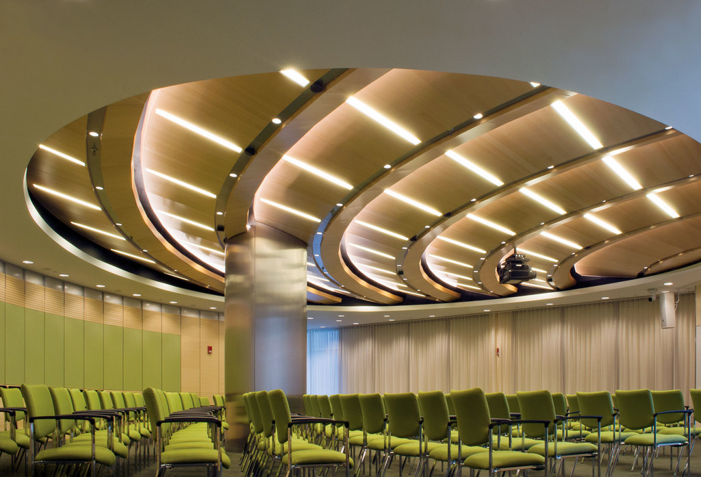 Ceilings Plus Illusions Arboreal | Shelly Lighting