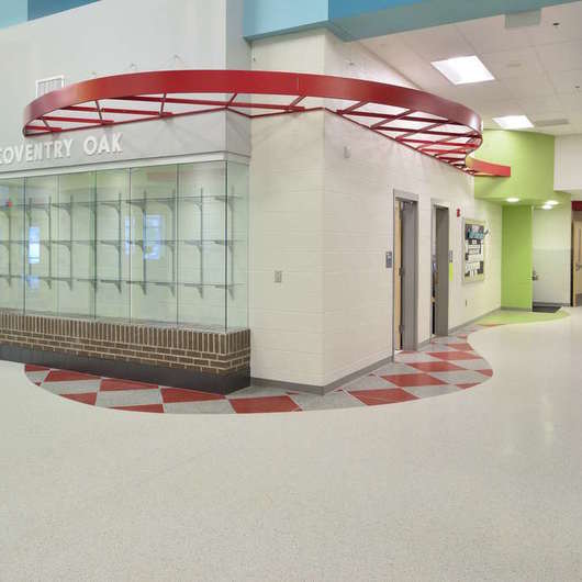 Anti-Bacterial Terroxy Resin Systems in Schools from Terrazzo & Marble