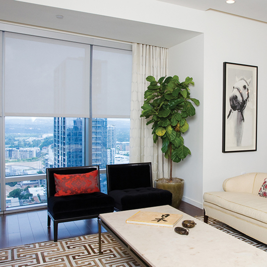 Manual FlexShade® Roller Shade from Draper