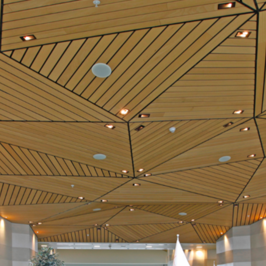 Wood – Solid Wood Linear Ceilings & Walls from Hunter Douglas ...