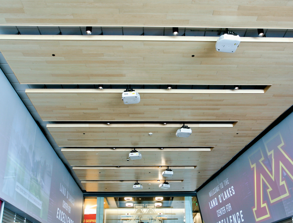 Gallery of Wall and Ceiling Panels or Planks - Audition - 2