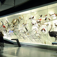 Display Case Security from Goppion