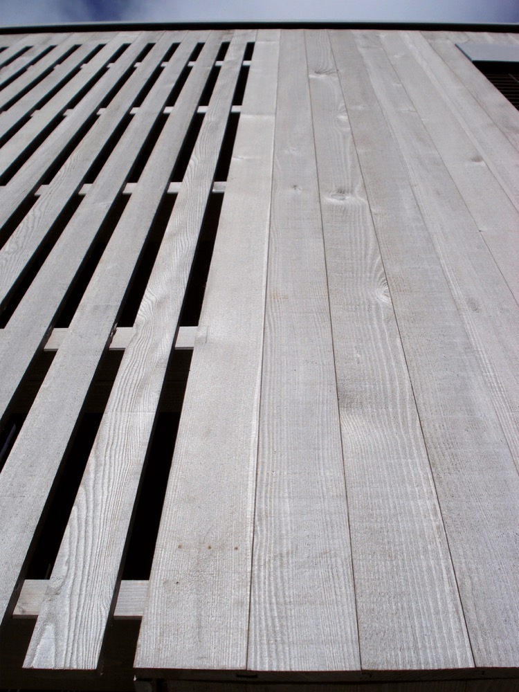 Gallery of Wood Paint - Lignosil System - 3