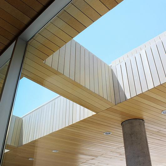 Galeria de Fachadas sustentables de fibra de madera acetilada - 9