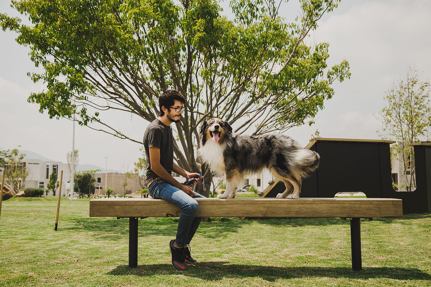 Galeria de Parque perros BKT-DOG - 8