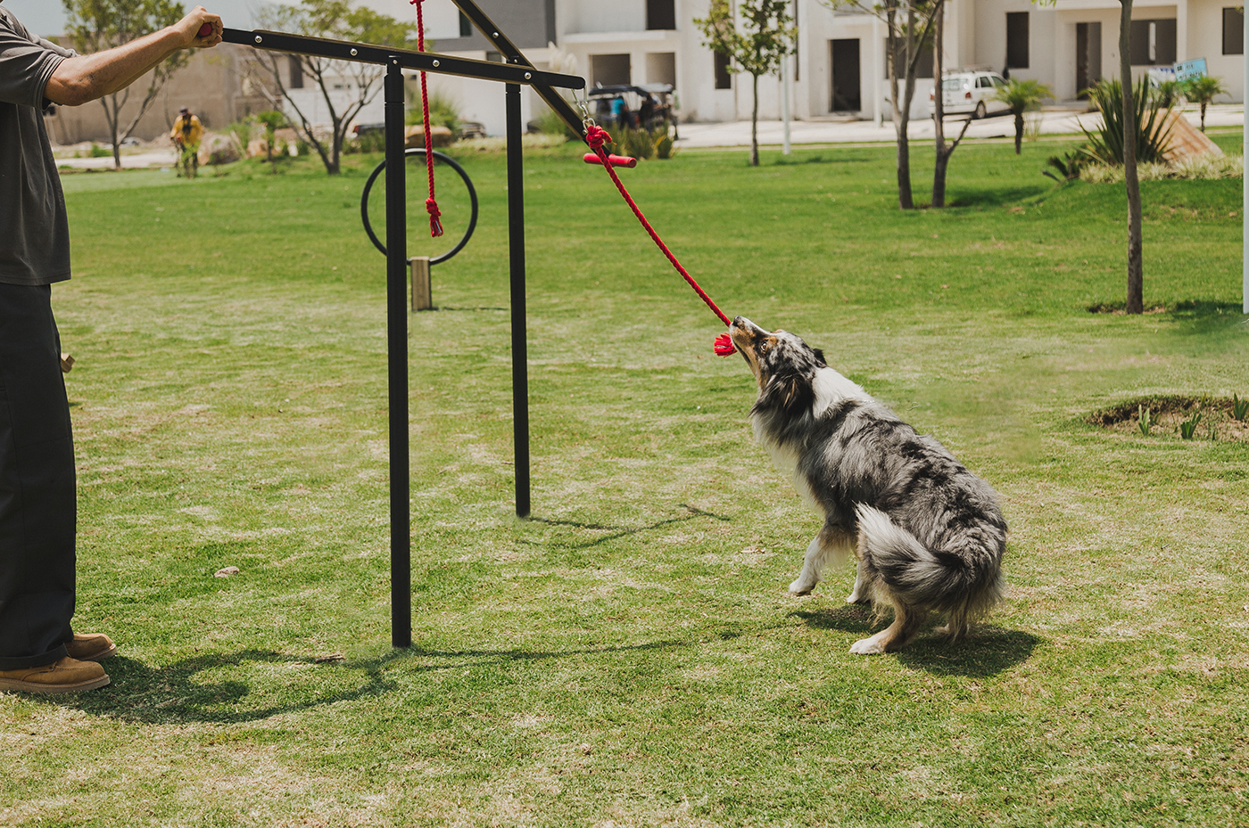 Galeria de Parque perros BKT-DOG - 10