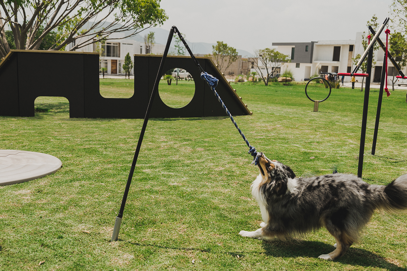 Galeria de Parque perros BKT-DOG - 12