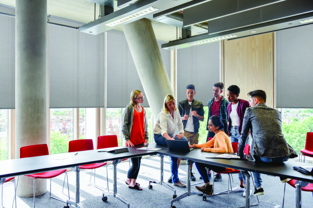 Gallery of Shade Fabric - Mermet E Screen Chroma - 2