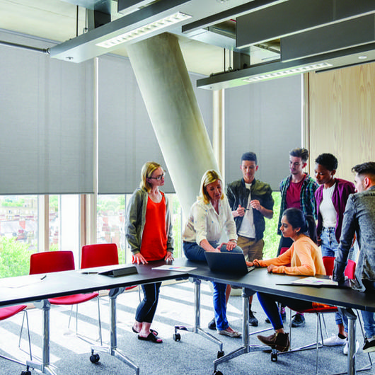 Shade Fabric - Mermet E Screen Chroma from Draper