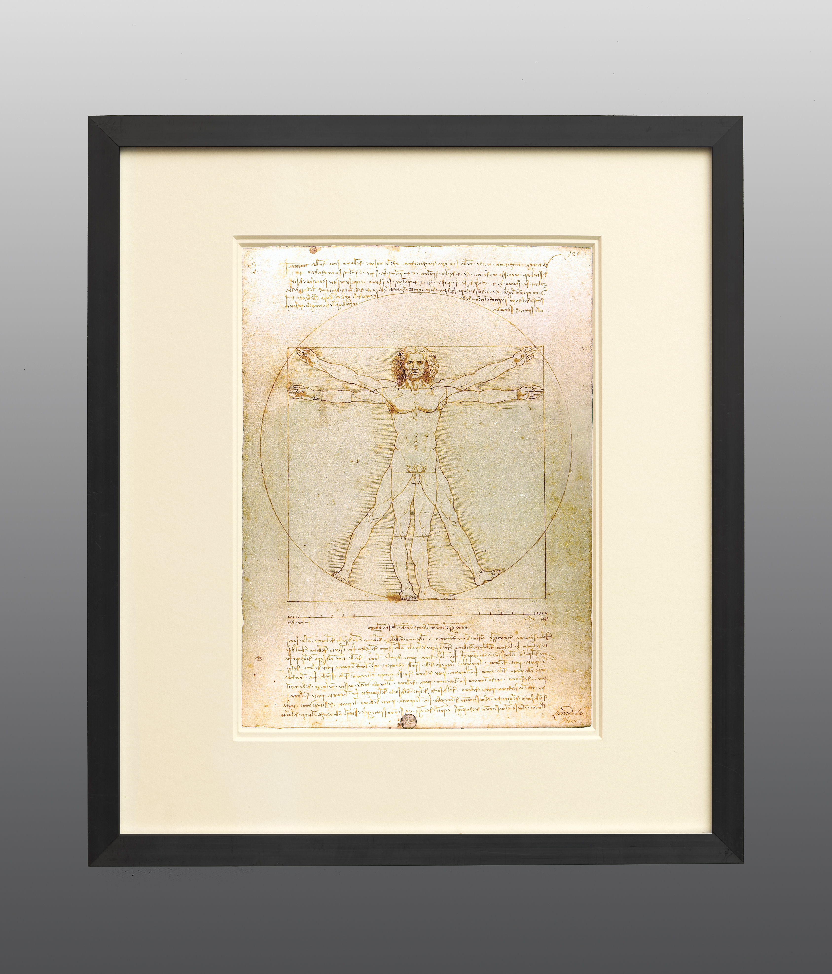 Display Case - F-Class from Goppion