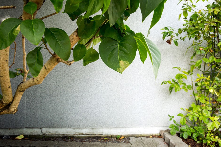 Gallery of Foundation Panels - Terra by STENI - 4