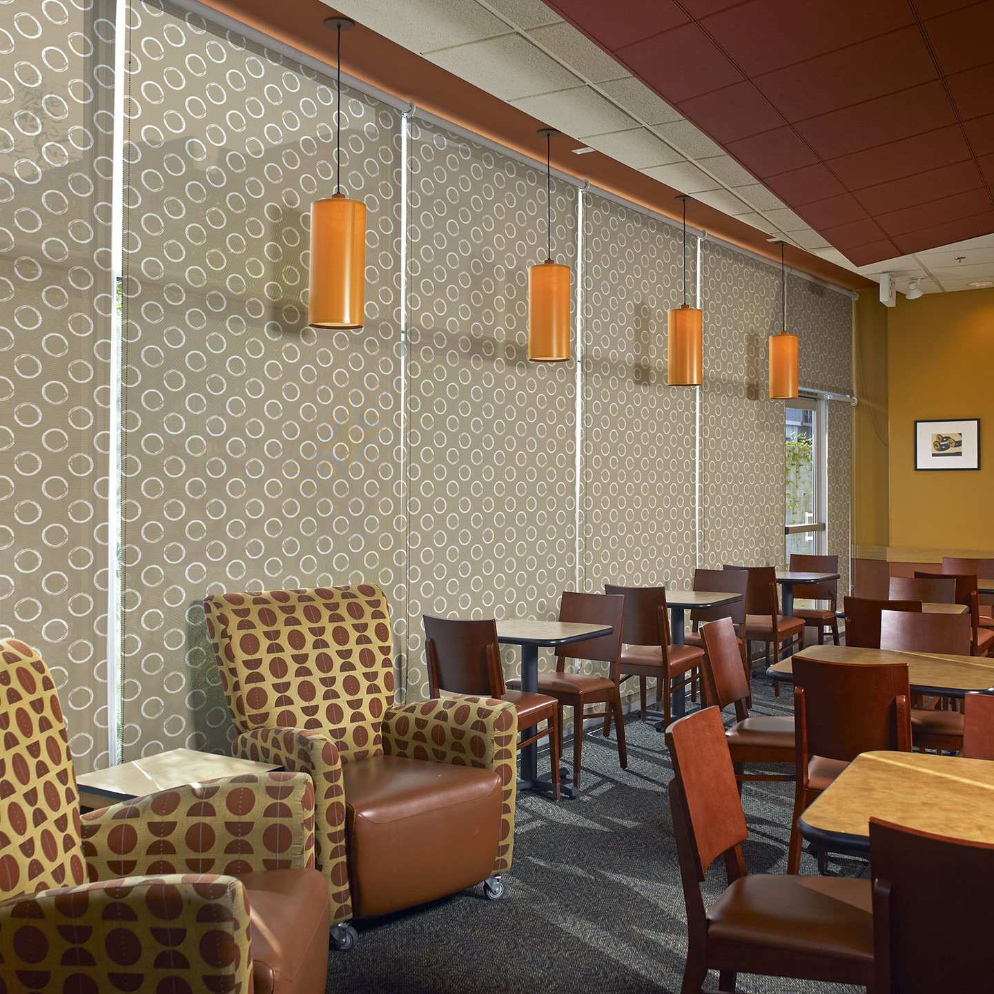 Gallery of Digitally Printed Graphic FlexShade® - 5