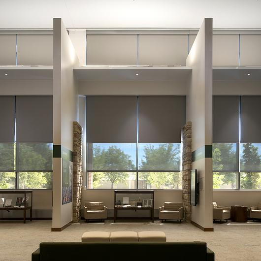 Dual Roller FlexShade® from Draper