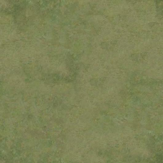 Gallery of Best Practices - Grass in Architectural Design - 15