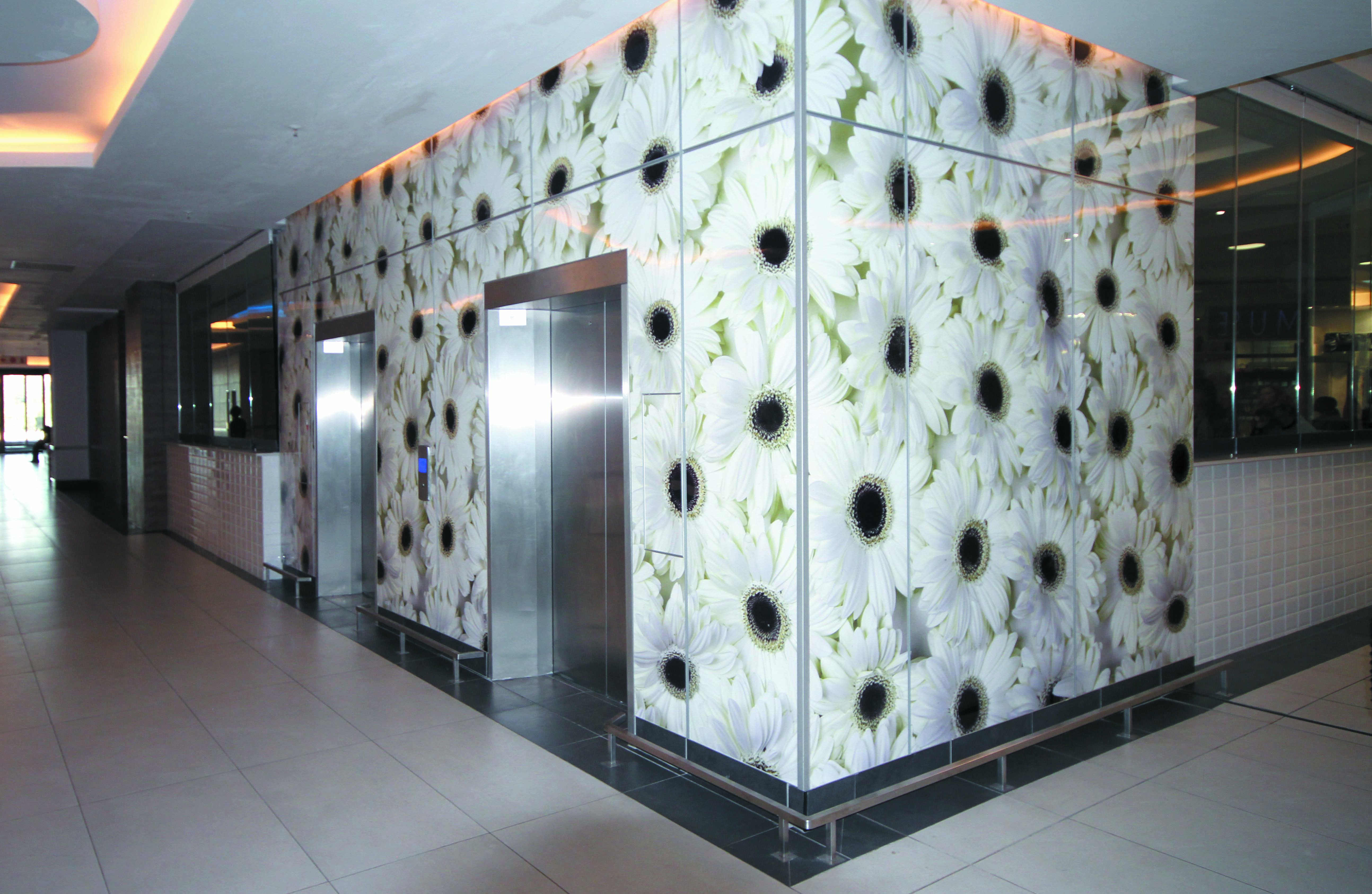 Gallery of Custom Wall Murals - Fusion - 1