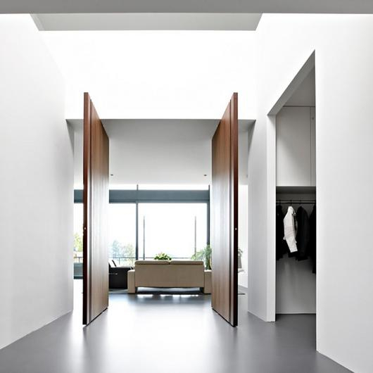 Gallery of Pivot Hinges for Interior Pivot Doors - 3