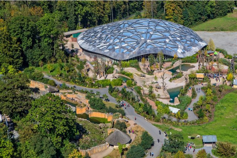 Gallery of Roof Systems - 13