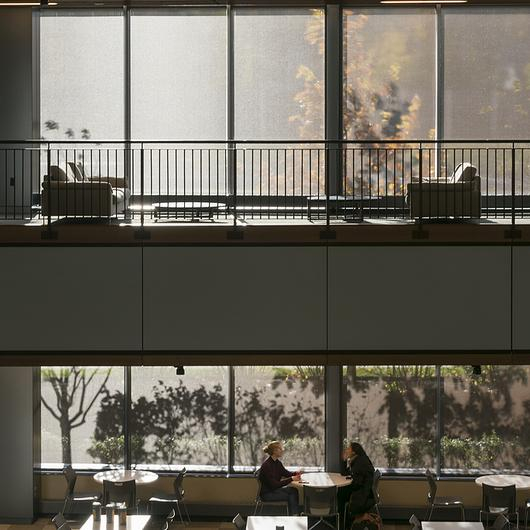 Gallery of Manual FlexShade® Roller Shade - 4