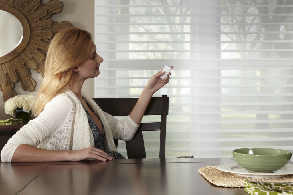 Gallery of Digital Architectural Blinds - 14