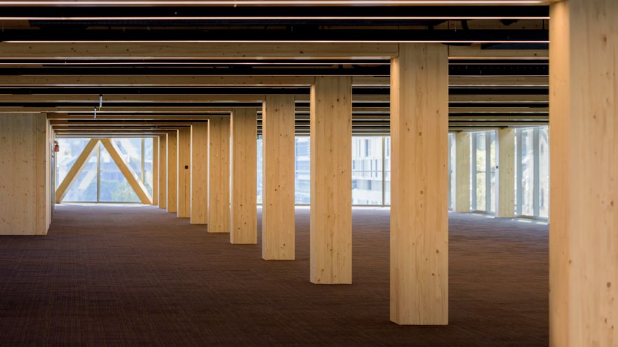 Gallery of Timber - GLT Block - 3