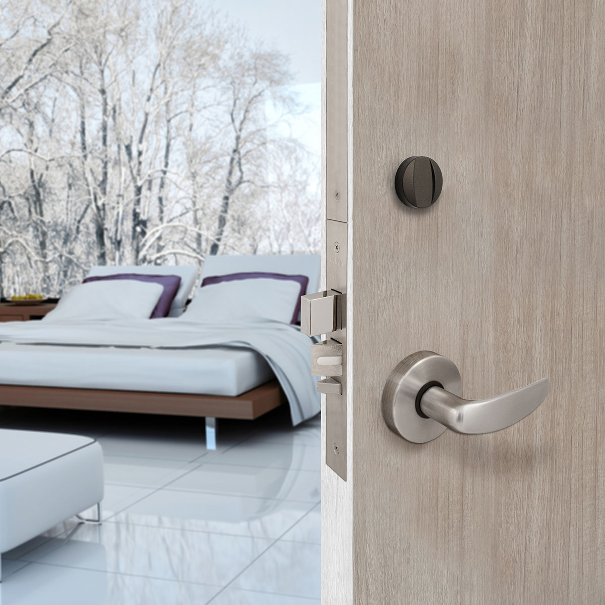 Electronic Locks - Quantum Pixel from dormakaba