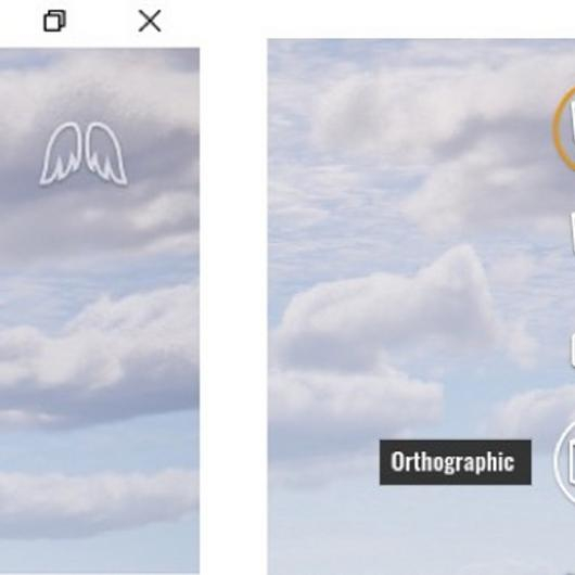 Best Practices – Orthographic Views from Enscape