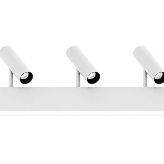 Gallery of Spotlight - Robin - 3