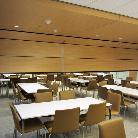 Choosing the Skyfold Wall for Your Space from Skyfold