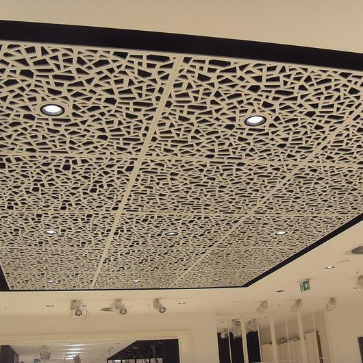 Gallery of Panels for Suspended Ceilings - 6