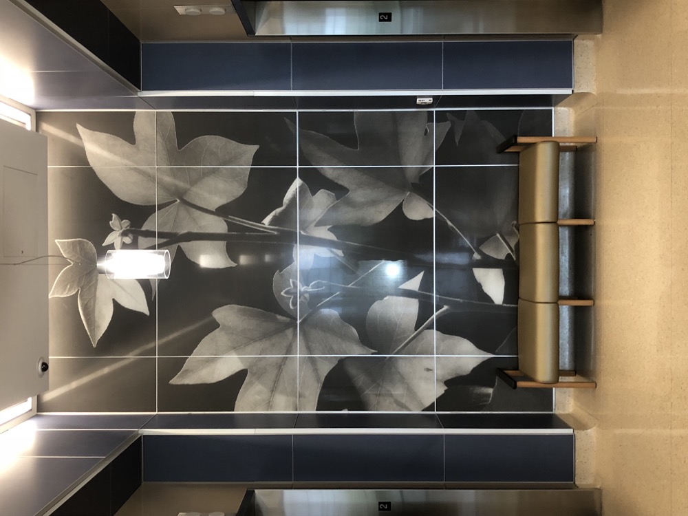 Gallery of Digital Ceramic Printing in Glass Curtain Walls - 3