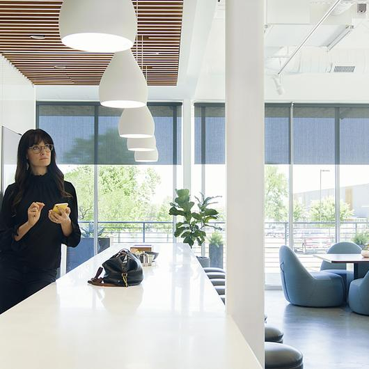 Lighting Control for Designers from Lutron