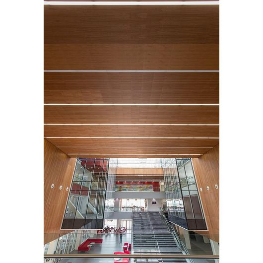 Wood – Veneered Wood Ceiling & Wall Panels from Hunter Douglas ...