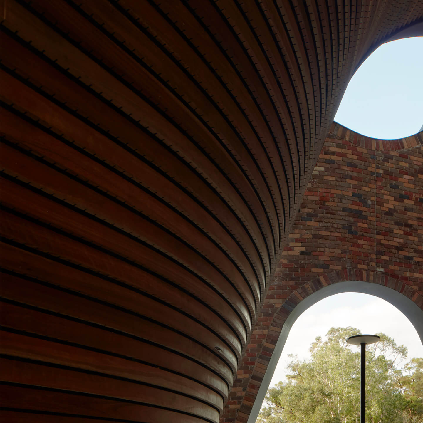 Gallery of Curved Timber Battens - 14