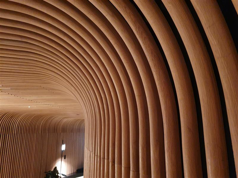 Gallery of Curved Timber Battens - 11