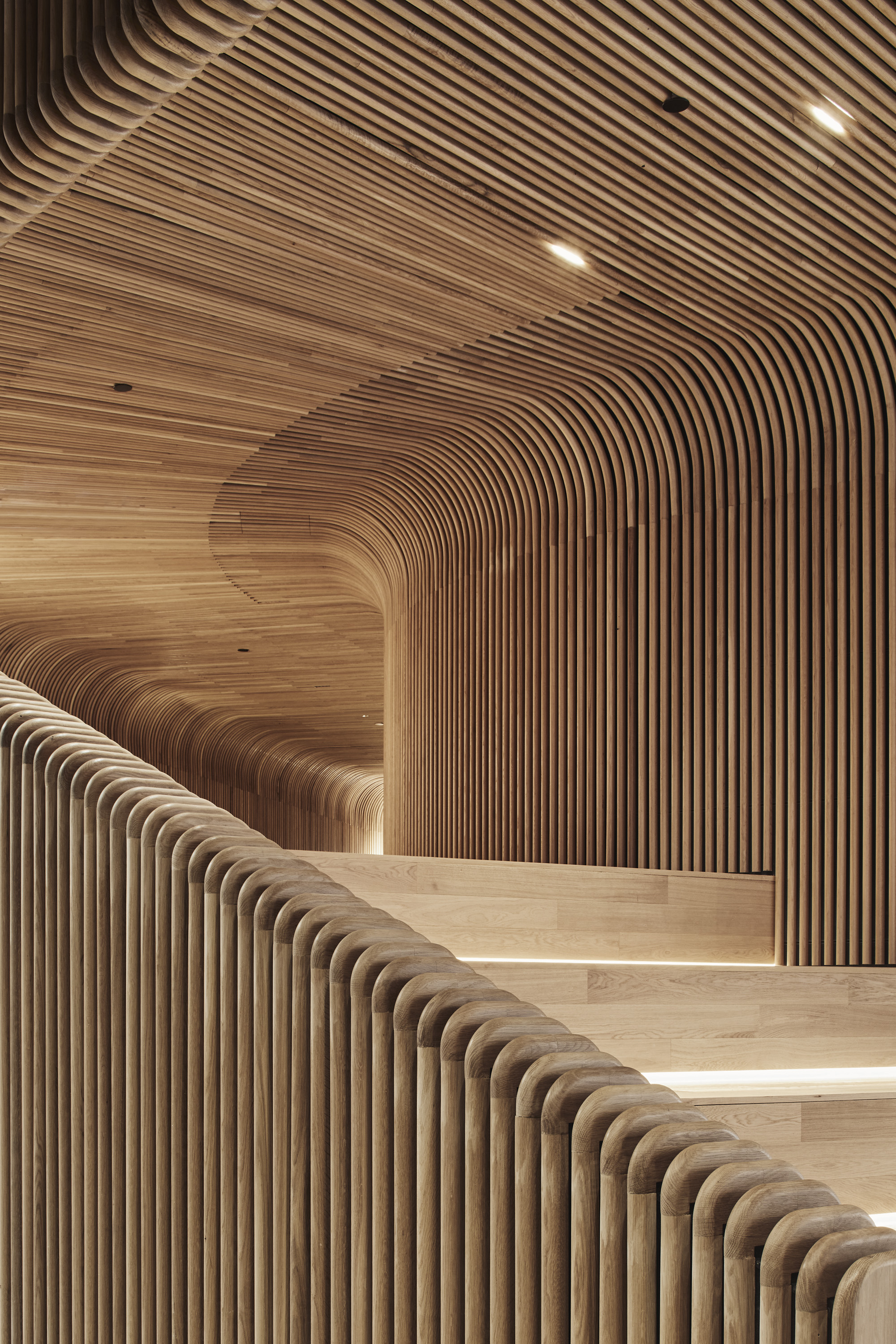 Gallery of Curved Timber Battens - 9