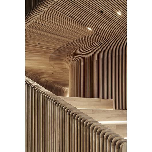 Gallery of Curved Timber Battens - 8