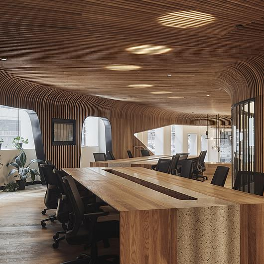 Curved Timber Battens from Sculptform