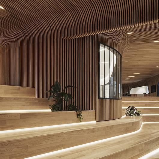 Gallery of Curved Timber Battens - 2