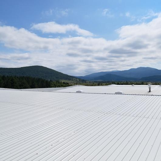 Metal Panels for Roofs - Trimoterm SNV from Trimo