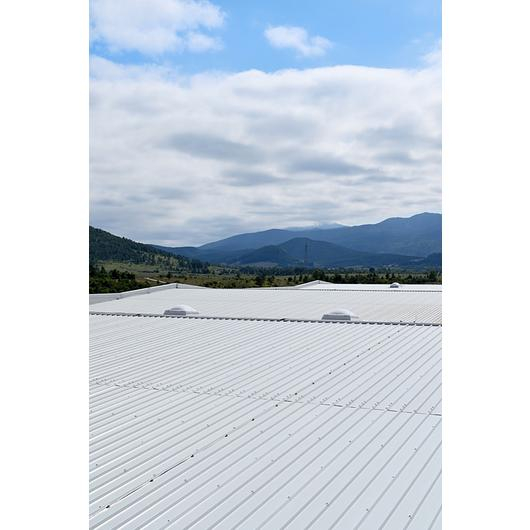 Gallery of Metal Panels for Roofs - Trimoterm SNV - 11