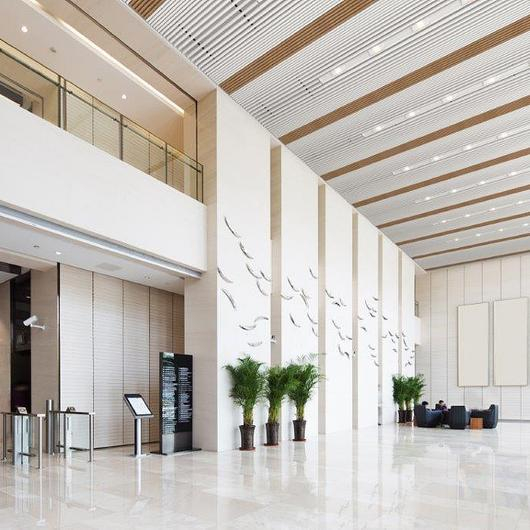 Ceiling Carrier System - Combi-Line from Hunter Douglas Architectural (Europe)