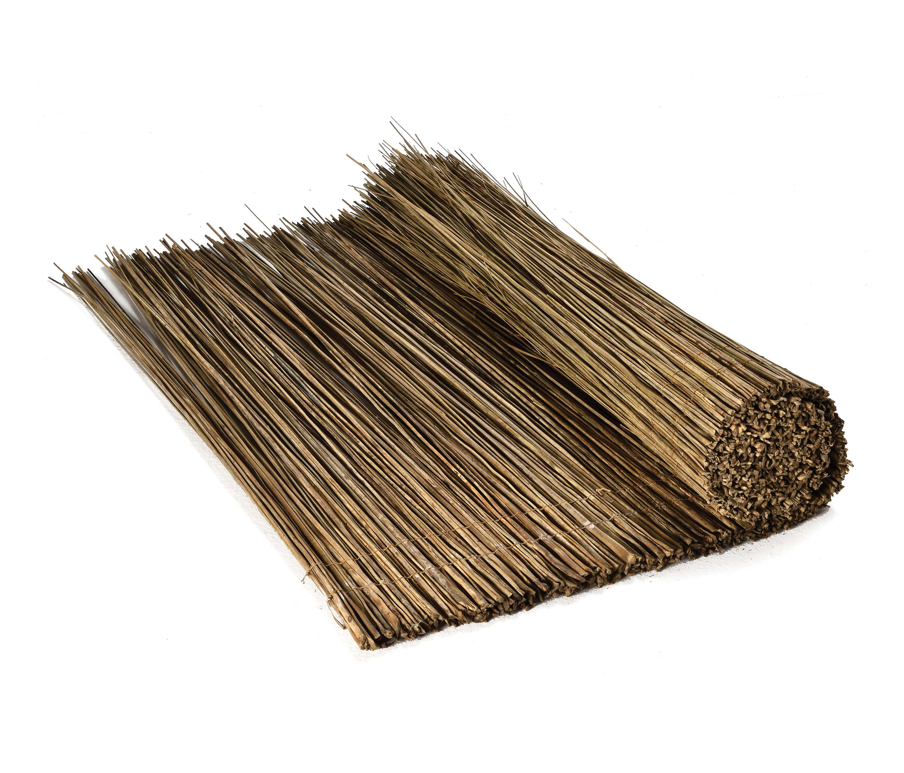 Gallery of Leaves - Lindi - 1