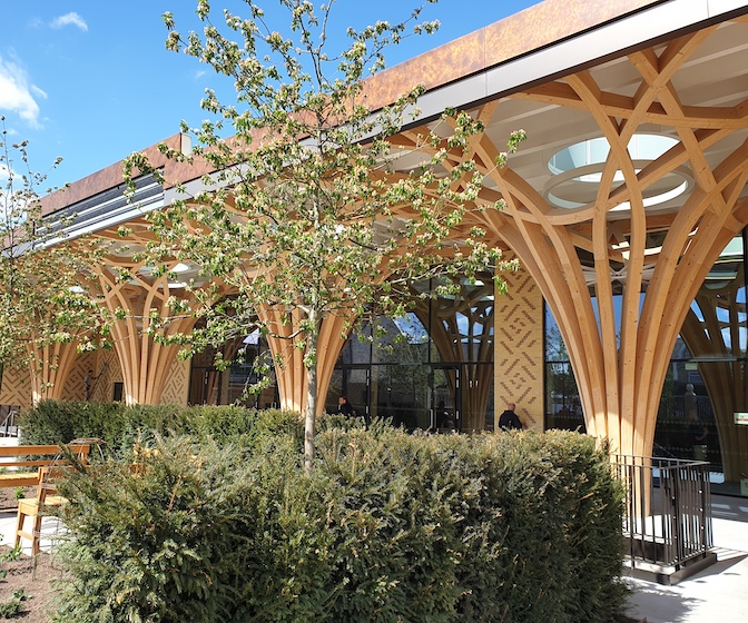 Gallery of Timber Construction in Cambridge Mosque - 2