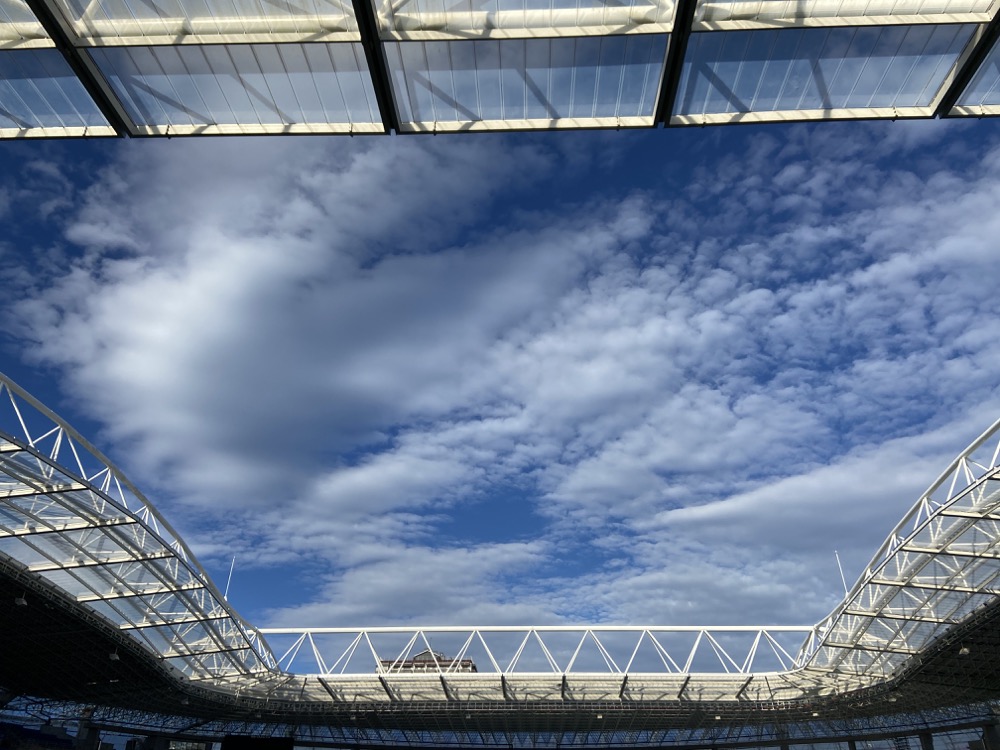 Gallery of Single Layer Covers and Façades - 29