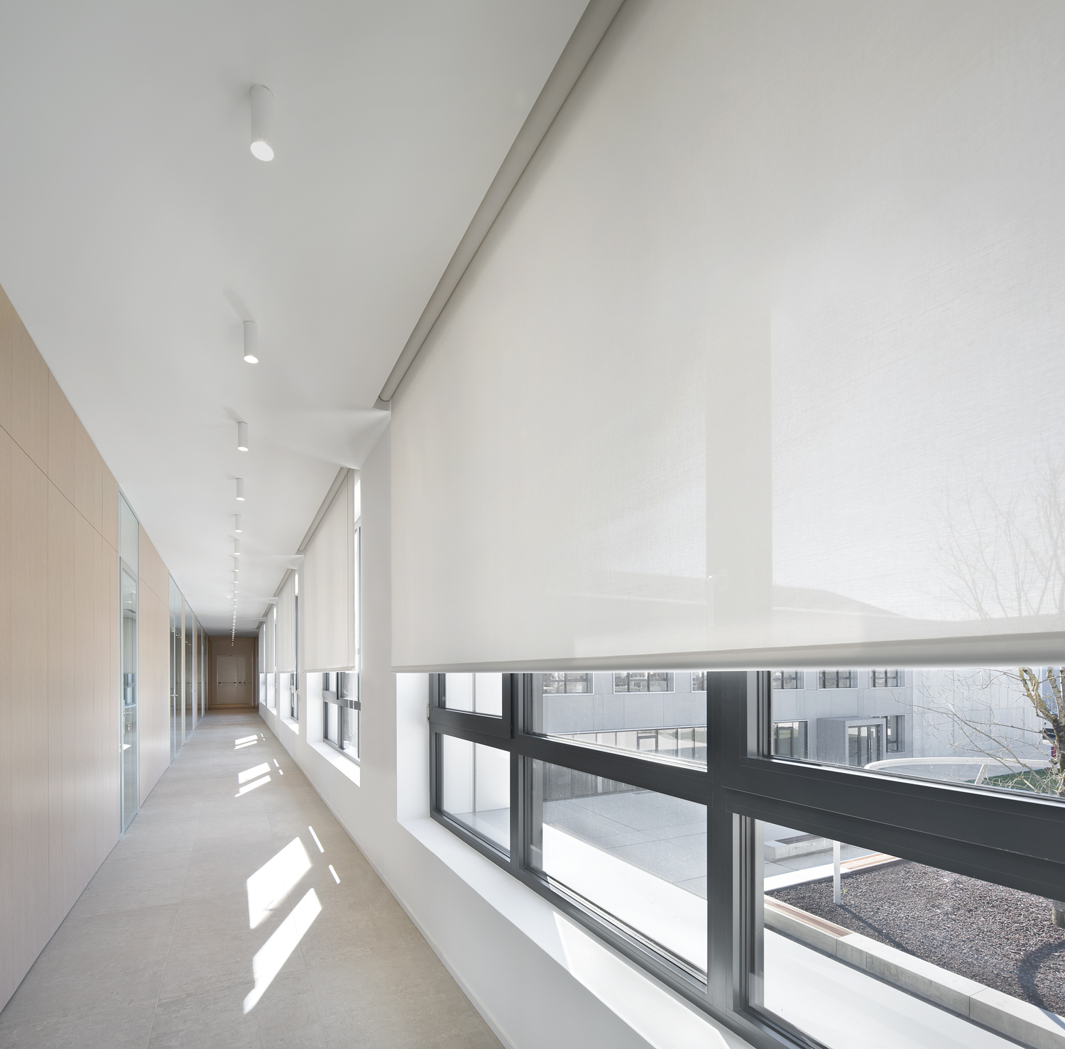Gallery of Roller Shades - Premium Systems - 11