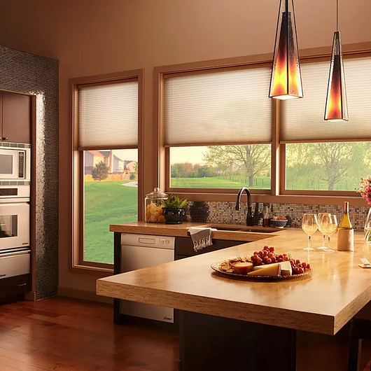 Digital Architectural Blinds from Lutron