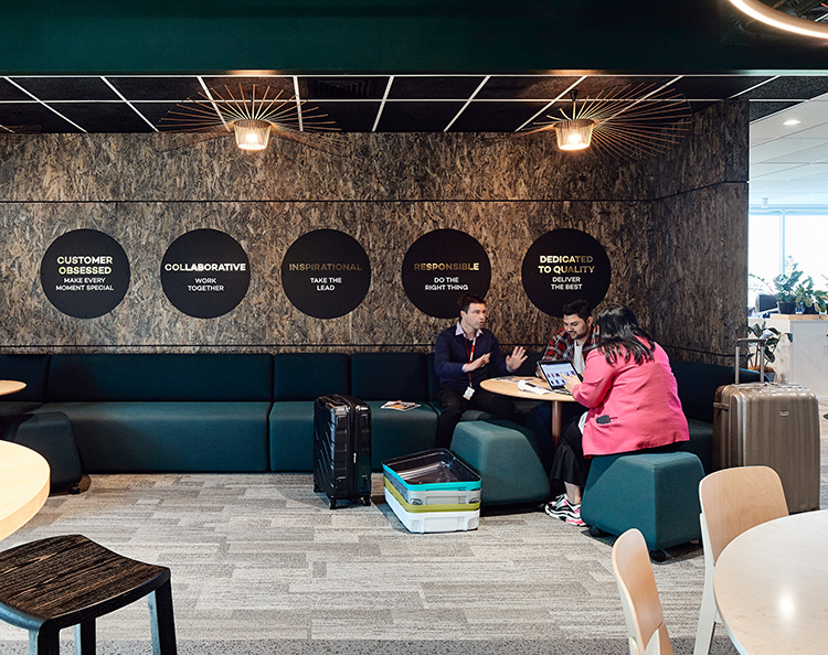 Gallery of Oriented Strand Board - Designer OSB - 5