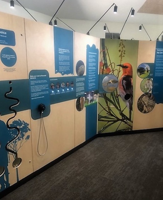 Gallery of Plywood - Printed DesignerPly - 4